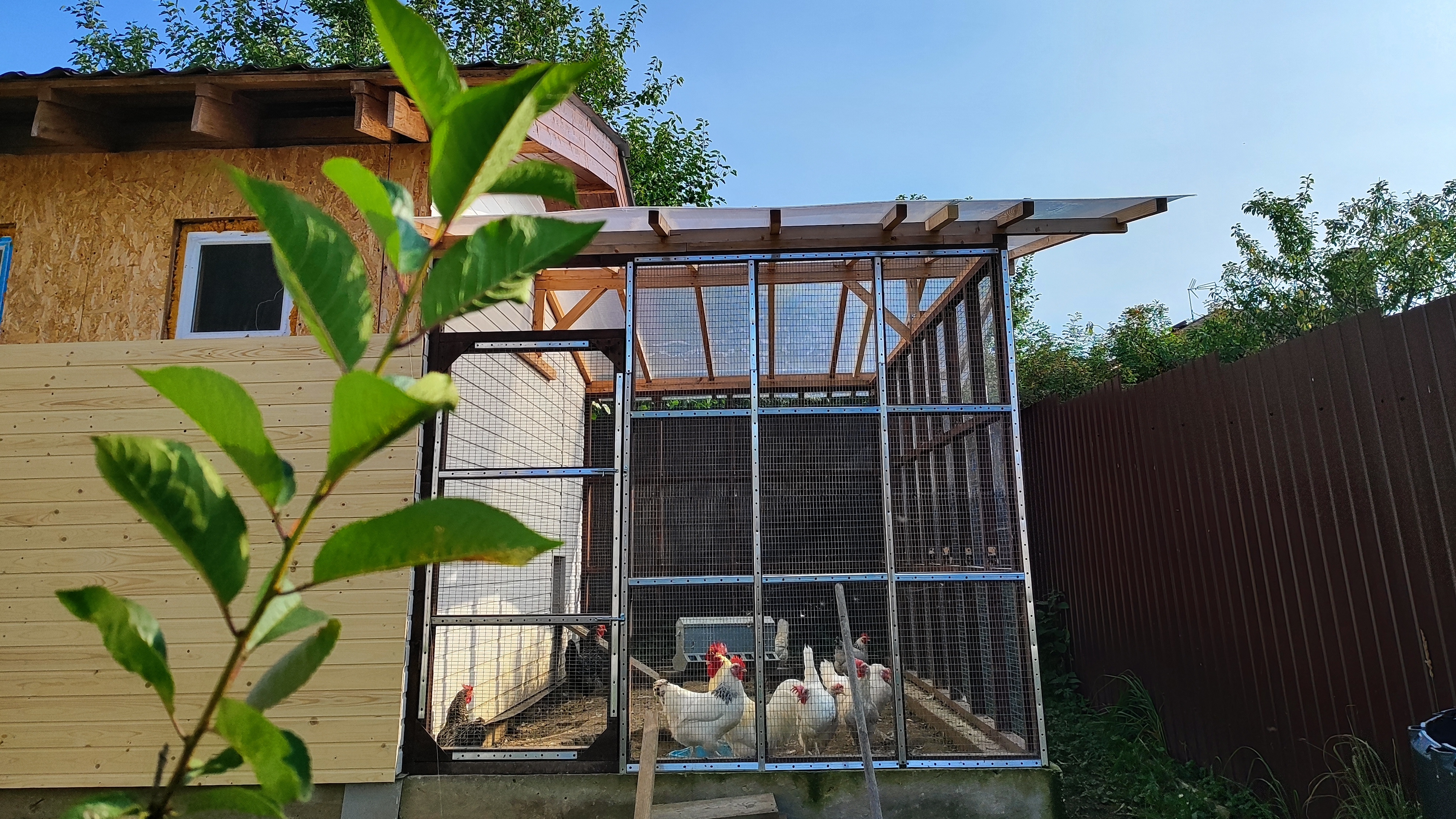 Накрываем выгул в курятнике #куры #курятник #стройка #кланбалан