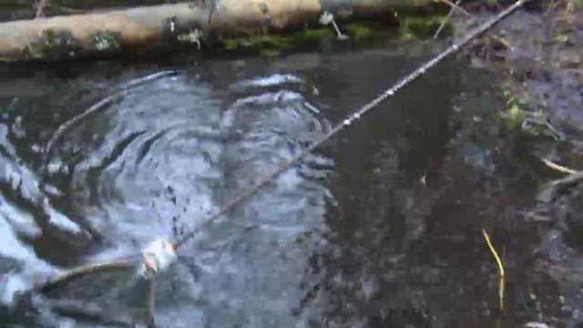 Травяная лягушка 2 Жизнь в декабре