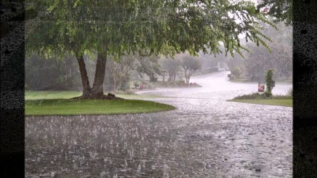 Черновые полы  3