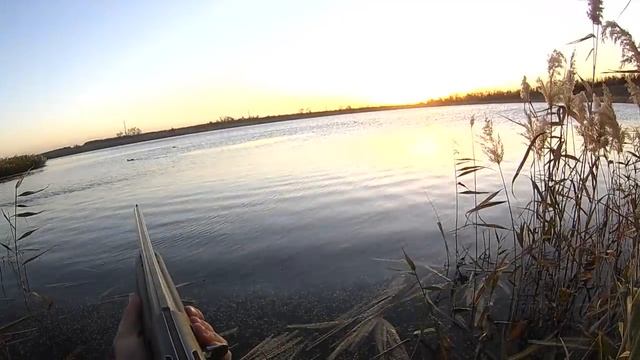 (18 ) ВЕЧЁРКА - УТИНЫЙ ЭКШЕН С ПОДХОДА (охота на утку - сезон осень 2018).mp4