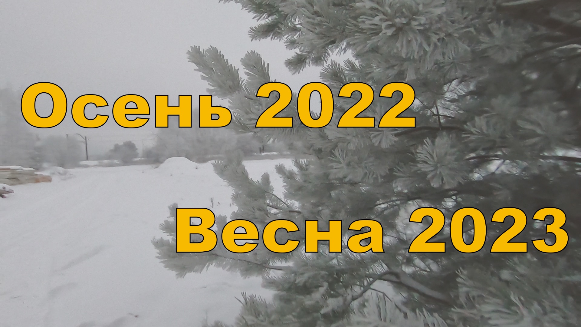 Осень 2022 - весна 2023. Всего понемногу