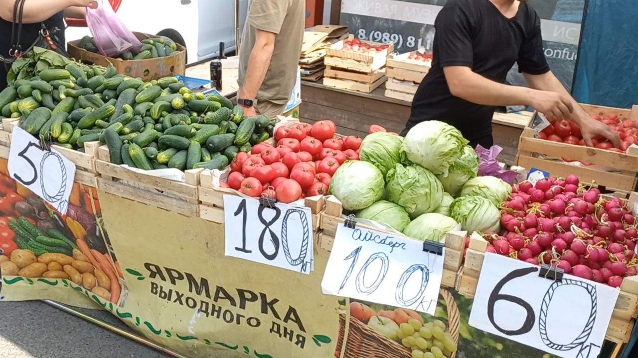 Краснодар - Ярмарка выходного дня на улице Одесской - 20 мая 2023 г.