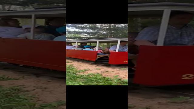 трамвай у Павла Чилина.mp4