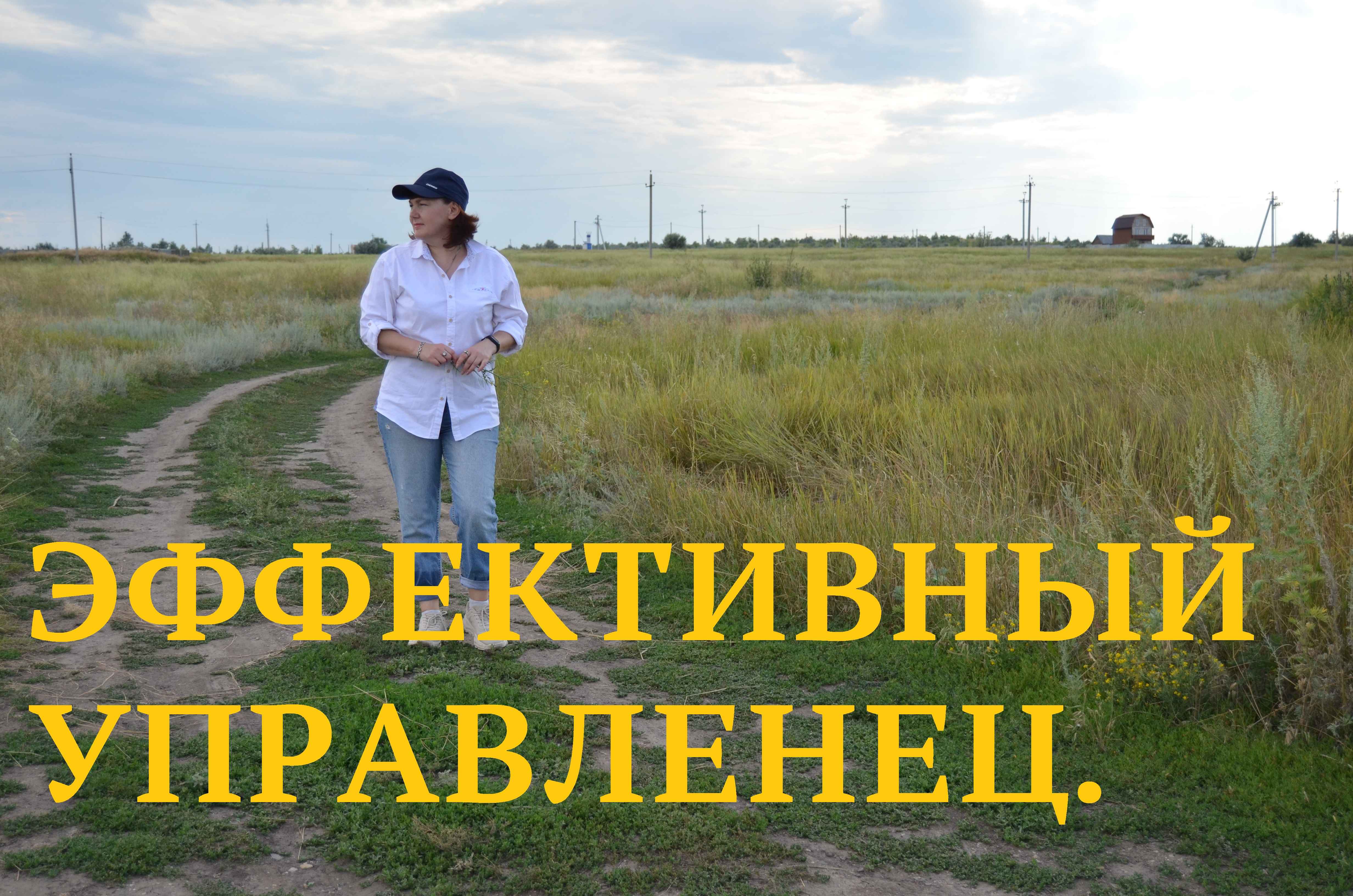 Эффективный управленец! 6 основных мотиваций сотрудников!