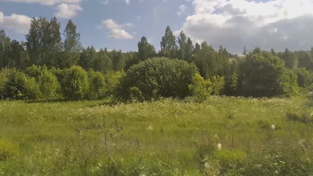 Летние дороги.