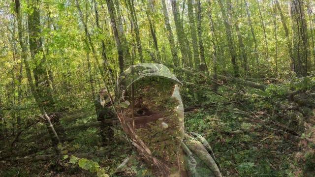 ОТец ищет грибы 15 октября. Нашёл только гадюку.