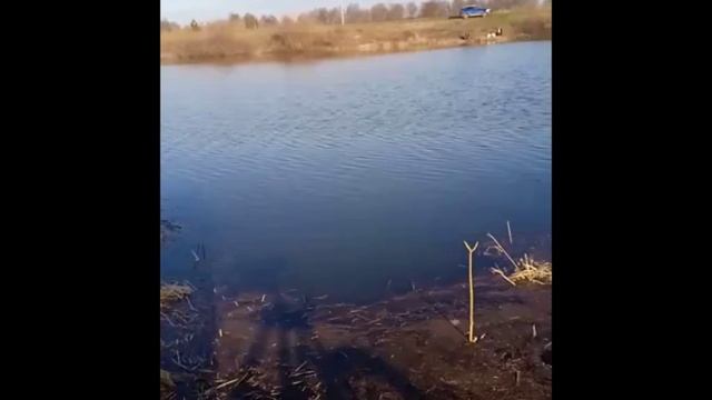 Рыбалка с Ильдусом.