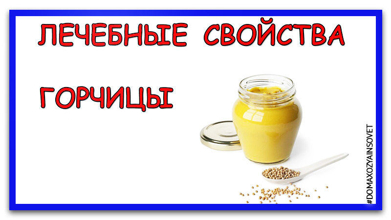 Четыре необычных использования горчицы. Вы будете удивлены полезными свойствами горчицы.