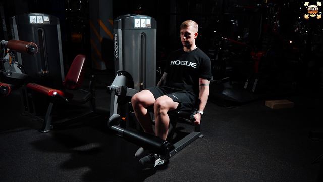 Разгибание голени одной ногой / разгибание ног в тренажере