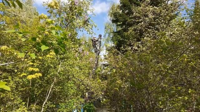 Все видео_На старом погосте Сарапула.mp4