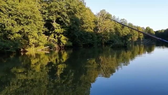 Р.Друть.Сом на резинку.Отдых с друзьями на БелАмазонке