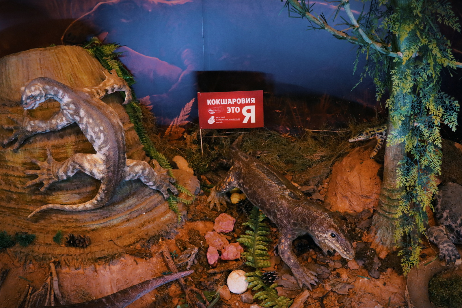 Кировчанам_представили_новый_вид_древнего_животного_ГТРК_Вятка