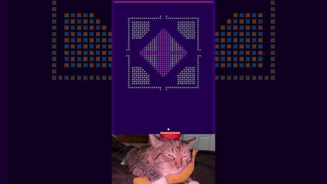 chipi chipi chapa chapa #shorts #кот #chipichipi #коты #милые #музыка #игра