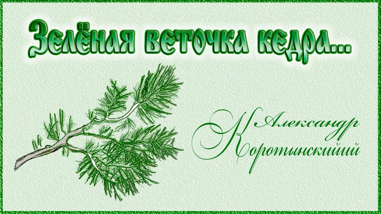 А.Коротынский - Зелёная веточка Кедра