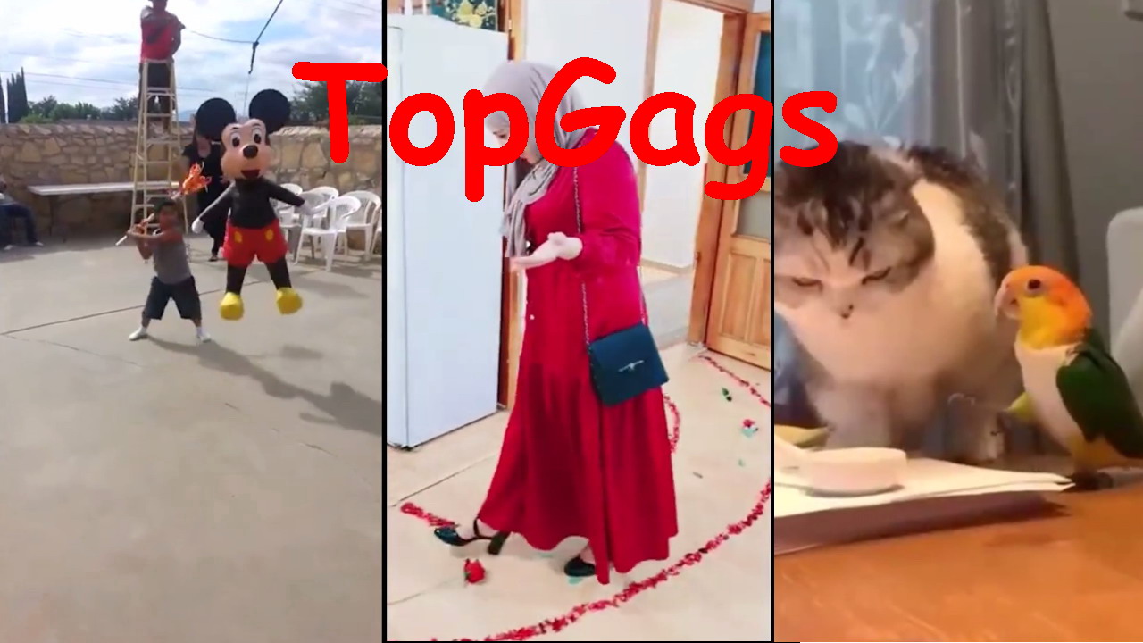 Дружба, Август 2021, Различные Смешные Пранки и Розыгрыши, Видео Приколы с Людьми и Животными, а Так