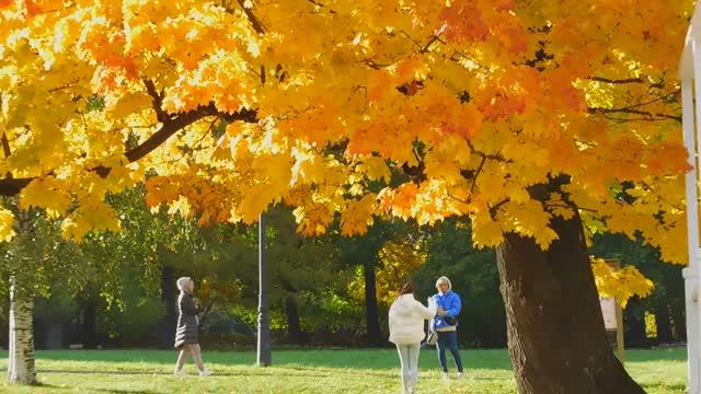 Осень в Коломенском (29.09.2021)