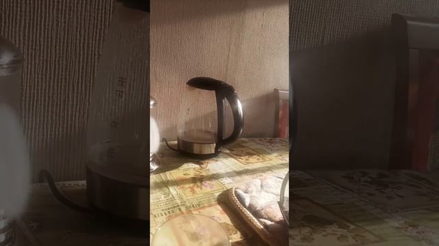 Ингаляция светлым жиром для собаки ч.1