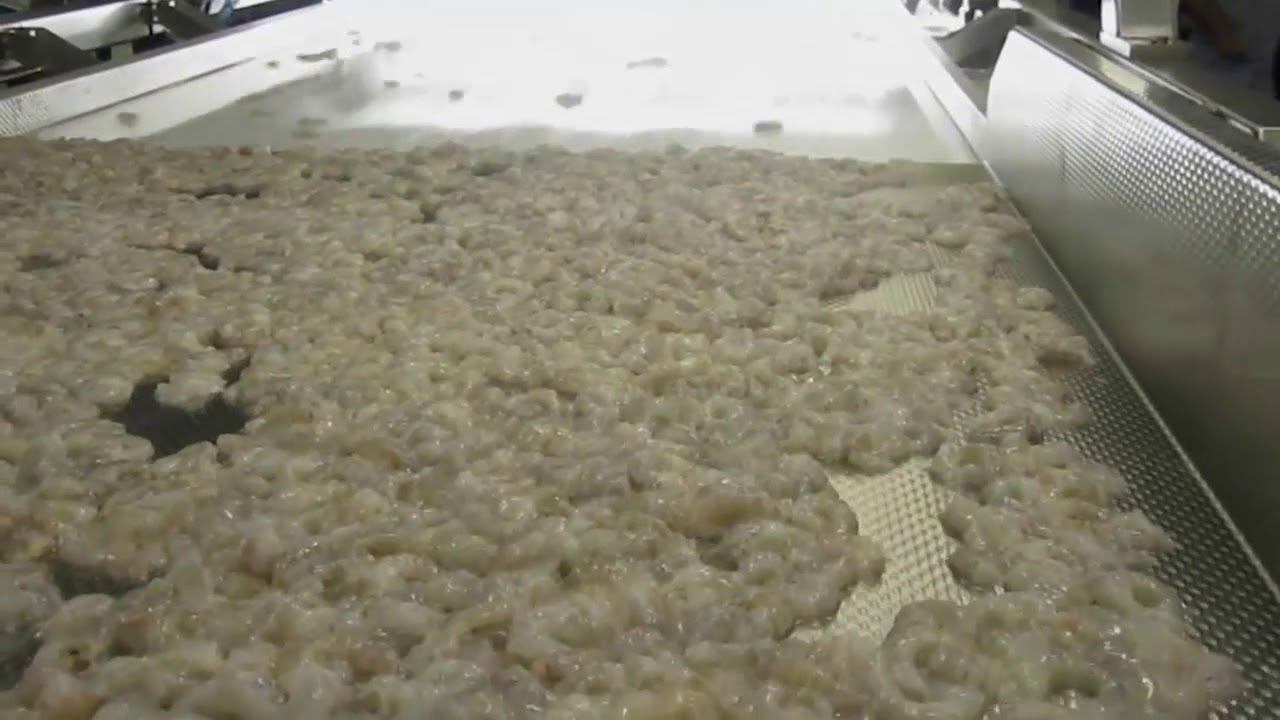 Оптическая сортировка креветок