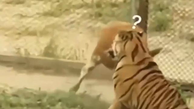 Вот это поворот