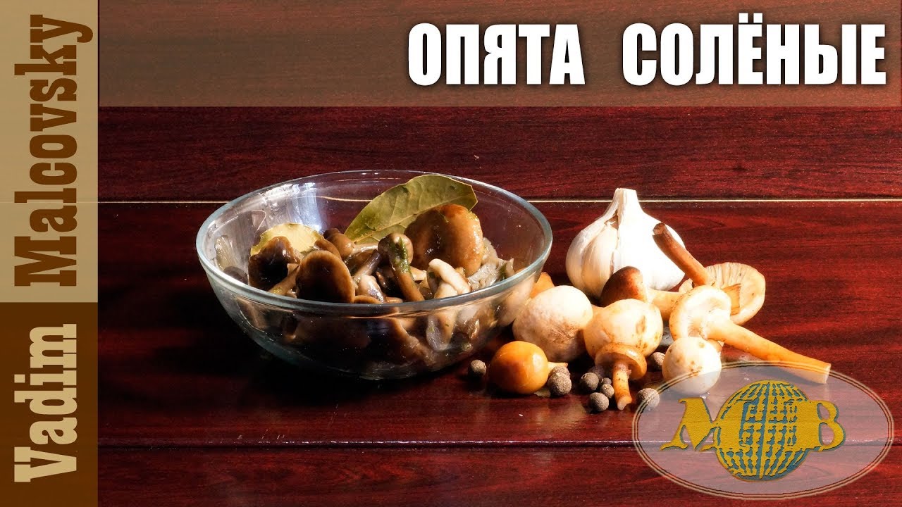 Опята солёные с чесноком или как засолить опята. Мальковский Вадим