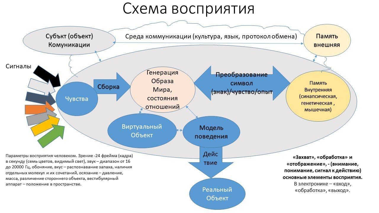 Физические основы восприятия и сознания, моделирование инопланетной жизни