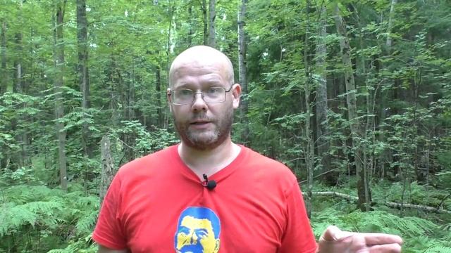 Аресты Кагарлицкого и Стрелкова