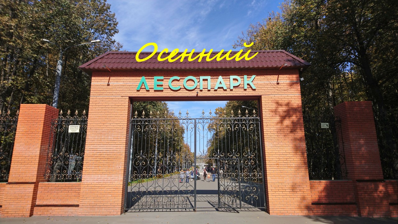 Осенний Лесопарк. Рязань, 2020