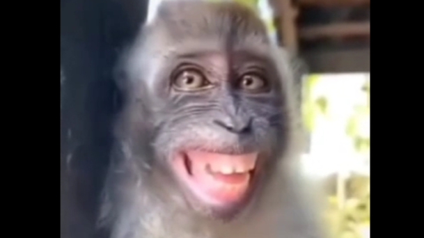 Приколы, подборка 4??