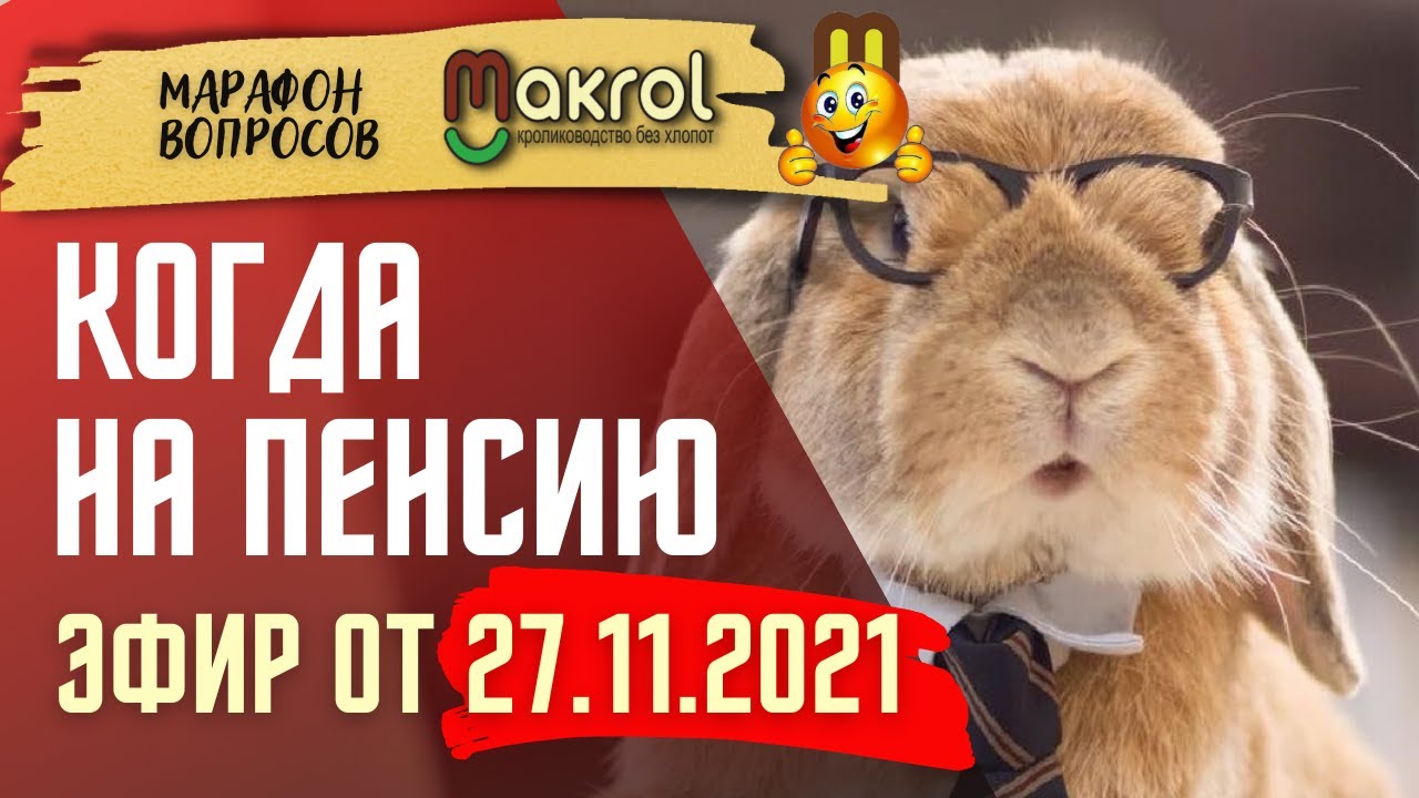 27.11.2021 ?Кролиководство ✅Субботний МАРАФОН ВОПРОСОВ в прямом эфире Макляк Макрол