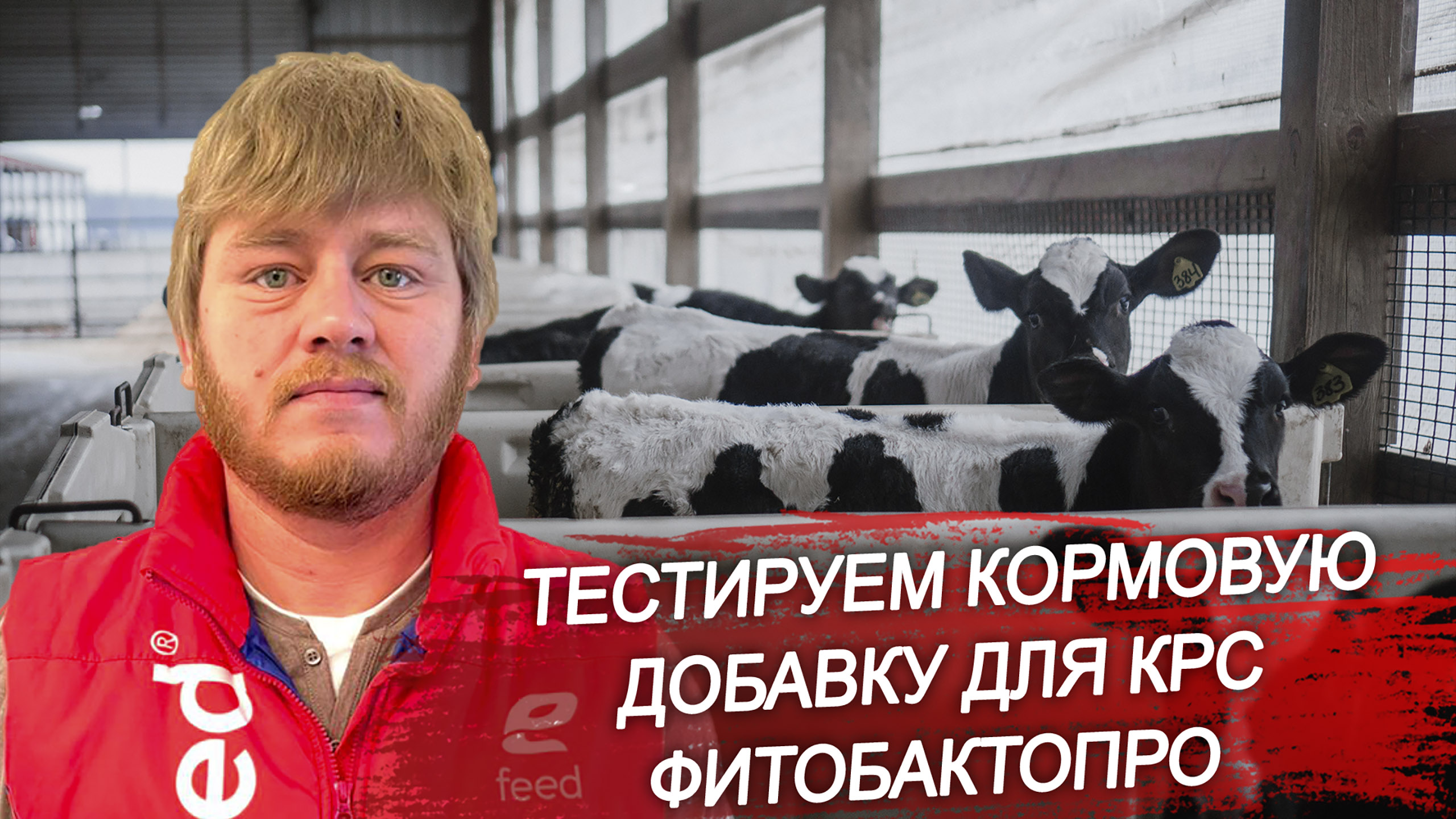 Как работает кормовая добавка ФитоБактоПро? Проверяем опытным путём