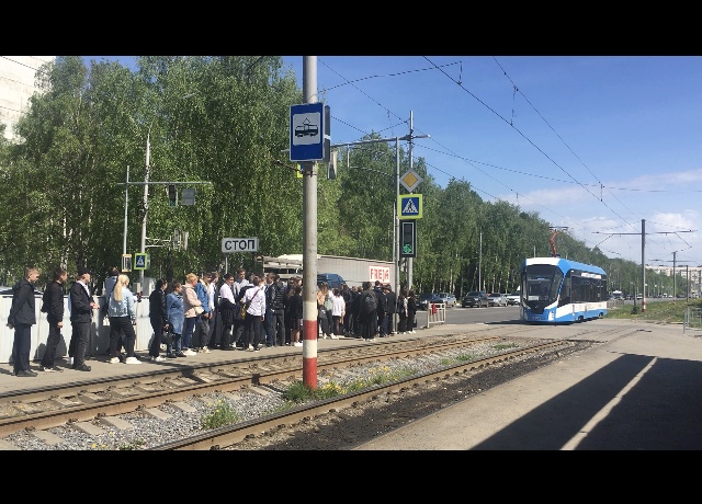 Школьники и Львёнок