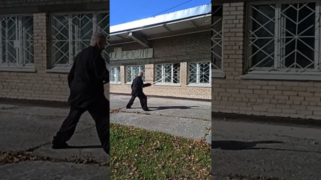 Шест. Техника копья тайцзицюань #кунгфу #тайцзицюань #цигун #даосскиепрактики #shorts