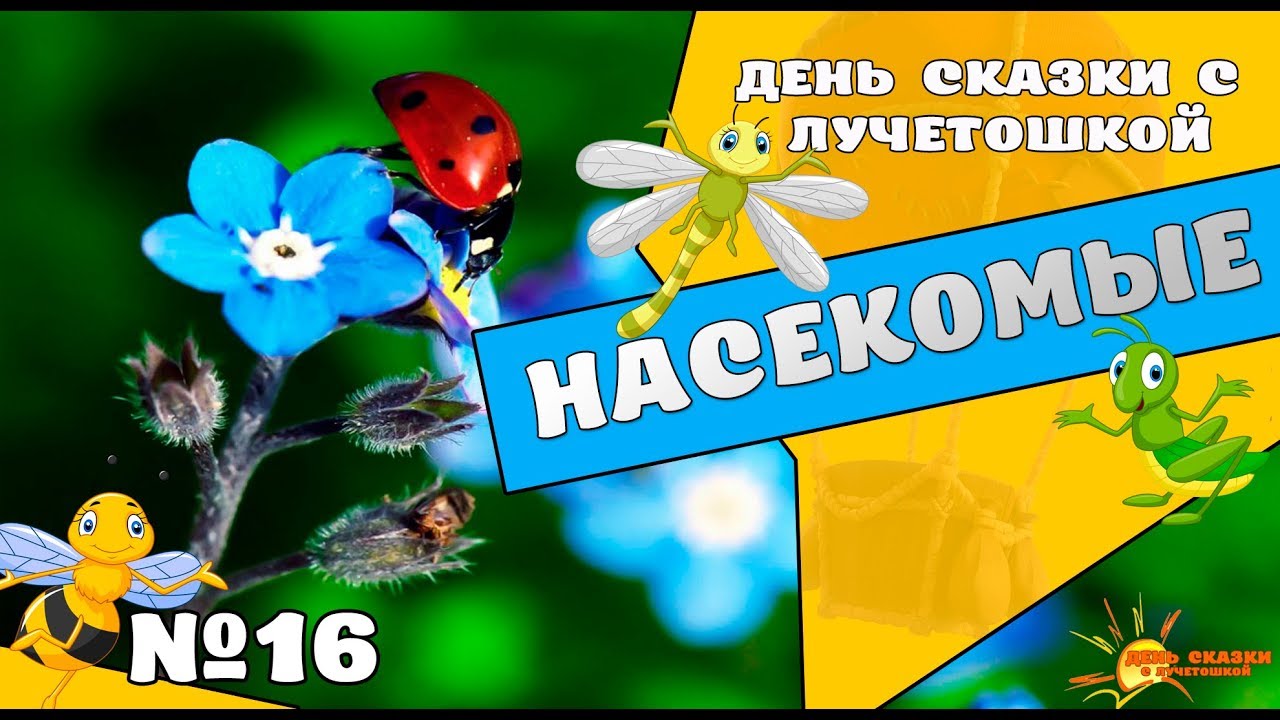 День сказки с Лучетошкой.  Выпуск №16.  Насекомые.