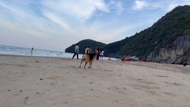 Thao Kalok Beach