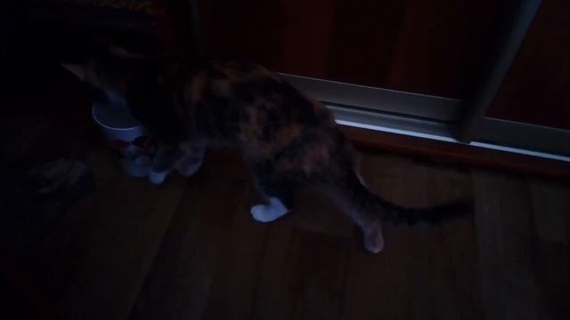 Тапуленка и горшок.mp4