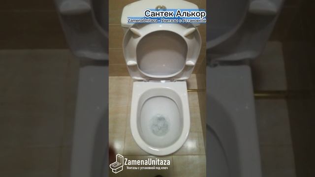 Унитаз с установкой под ключ - Santek Алькор