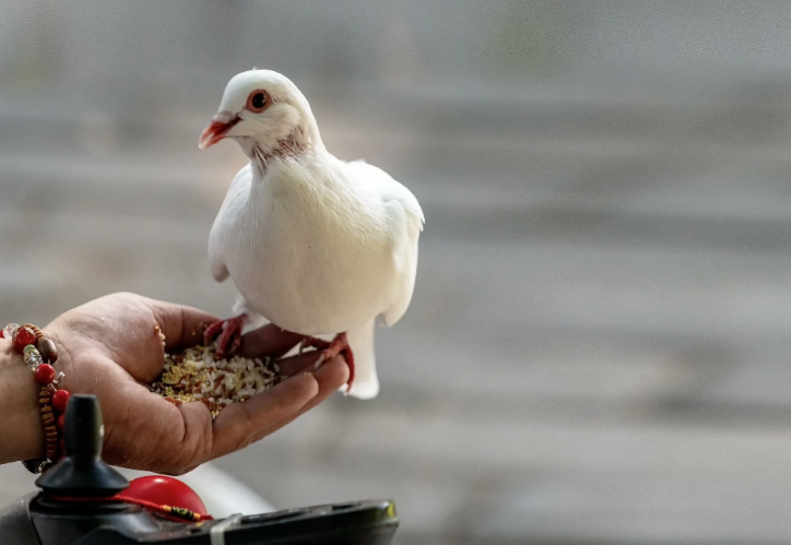 Молитва "Униженьями и страхом ...". Стихи Евгения Евтушенко.