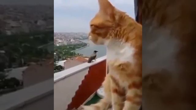 Настя обиделась