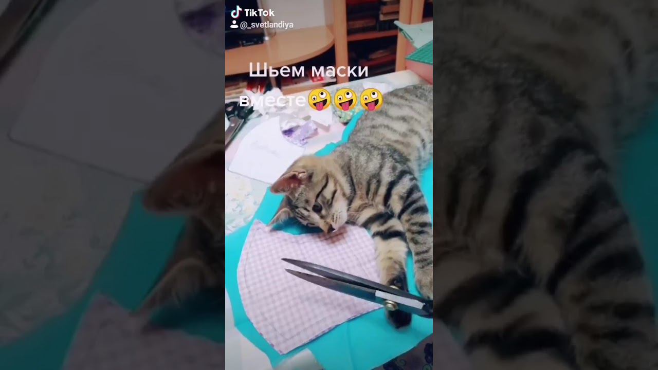 Шьем маски вместе. Буся мешает...