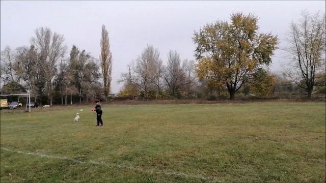 FrisbeeМанія2019   Валентина ПРТ Вента.mp4
