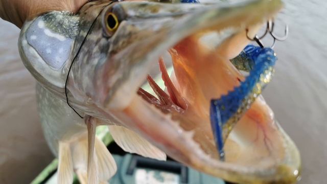 Рыбалка в октябре 2022.