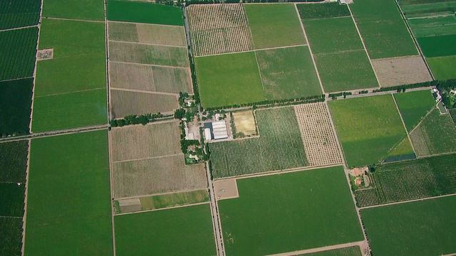 SM2ed Think and learn video L5 U8