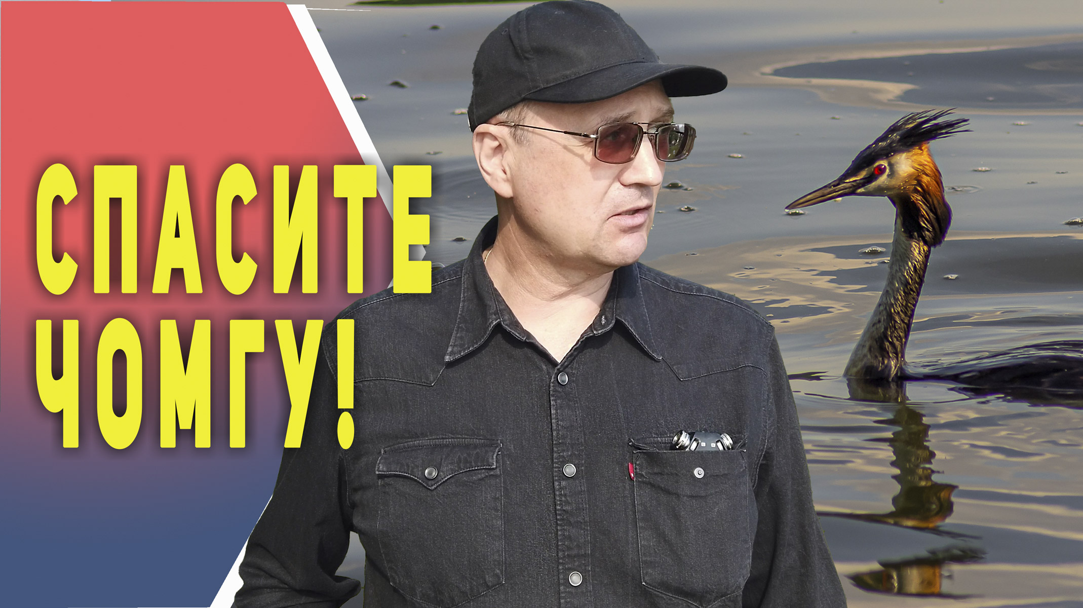 Спасите Чомгу!