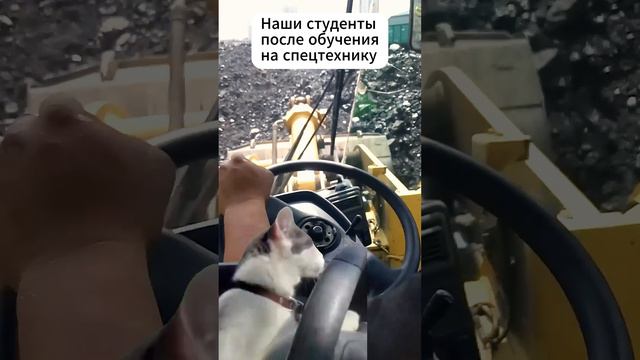 Так работают наши выпускники)