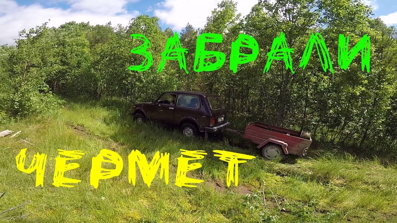 ЗАБРАЛИ ЧЕРМЕТ В ЛЕСУ!БАРСКИЙ ХОЗДВОР  ДЕЛО ТРУБА.