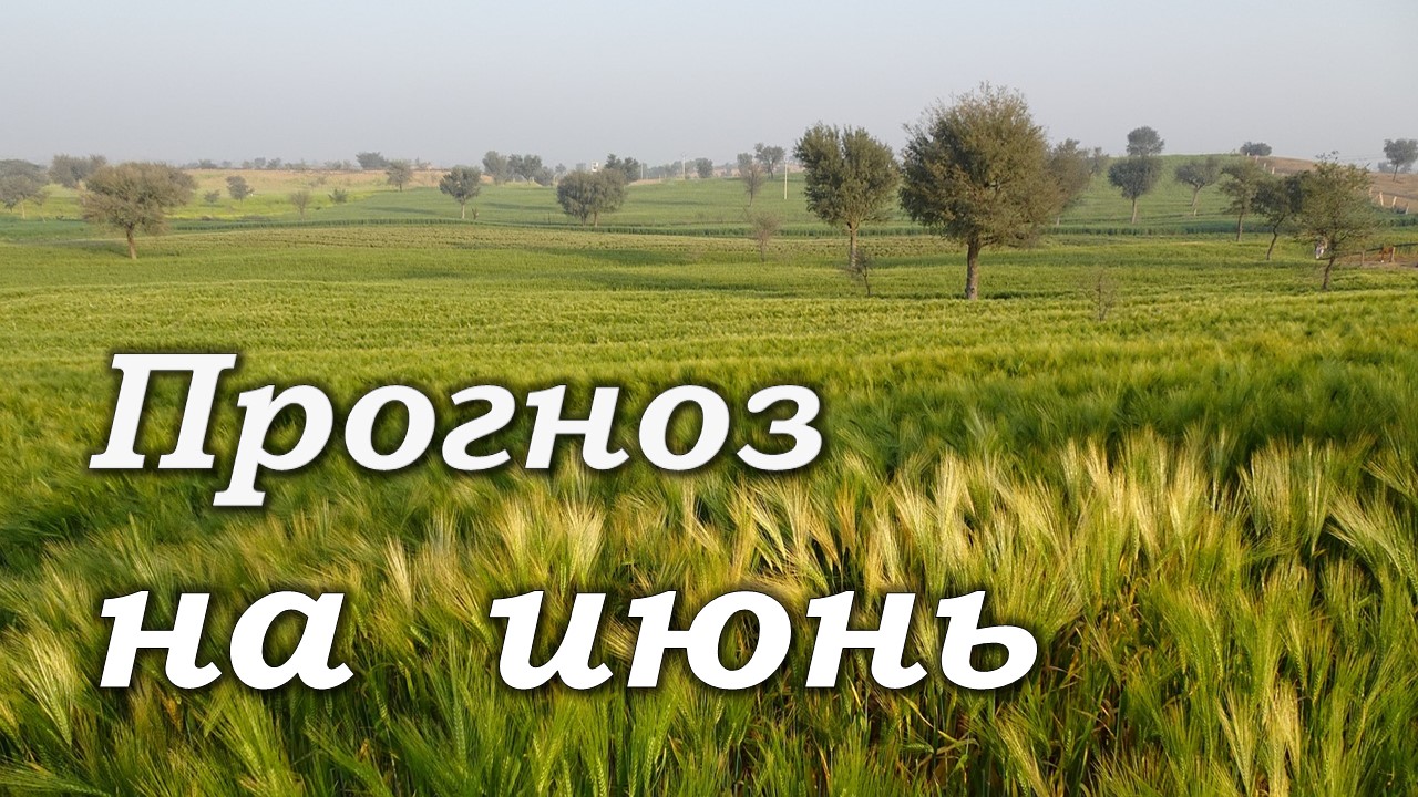 РАСКЛАД ДЛЯ ЖЕНЩИН "ПРОГНОЗ НА ИЮНЬ"