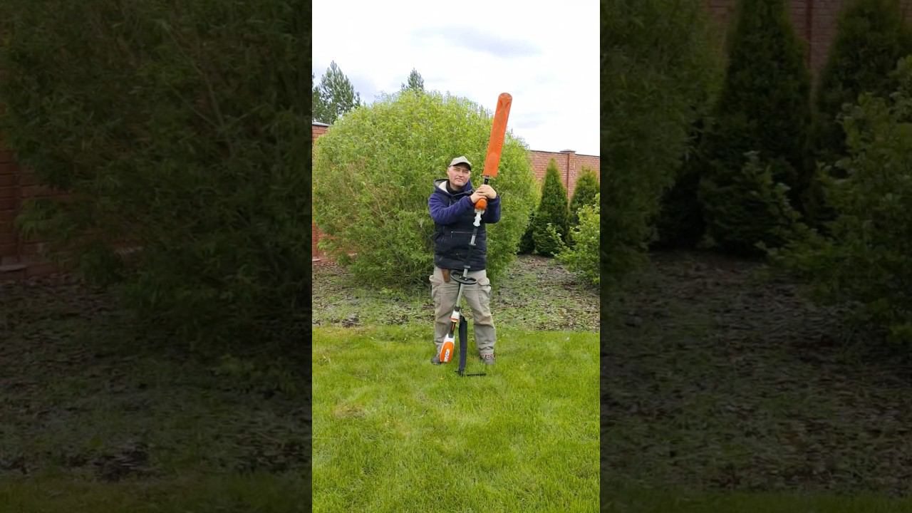 Делаем из ивы шар. #шорт #diy #садовник #обрезка #ива #топиарий #обрезкадеревьев #своимируками