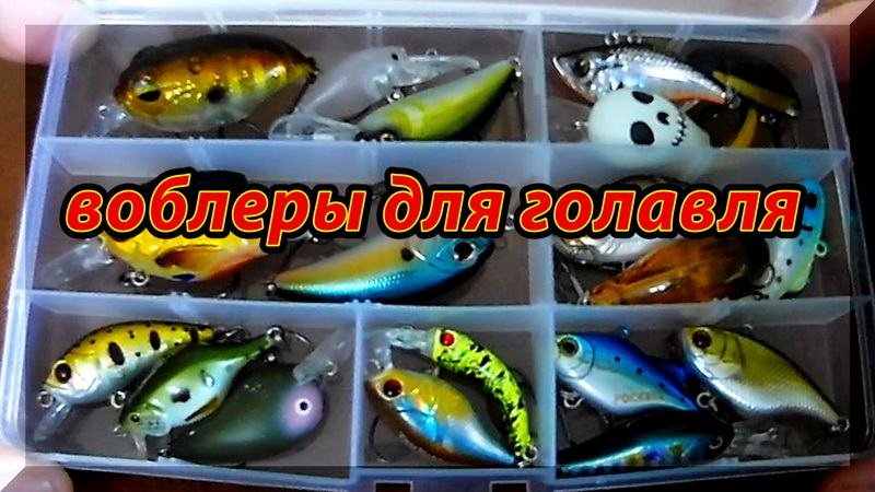 Воблеры на Голавля от TsuYoki, Pontoon 21, Smith, Strike Pro . А также лучшие воблеры с Алиэкспресс.