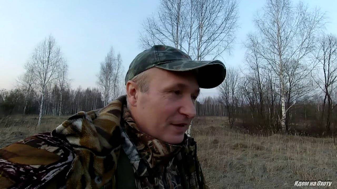 Охота на вальдшнепа весной в апреле. Эпизод)