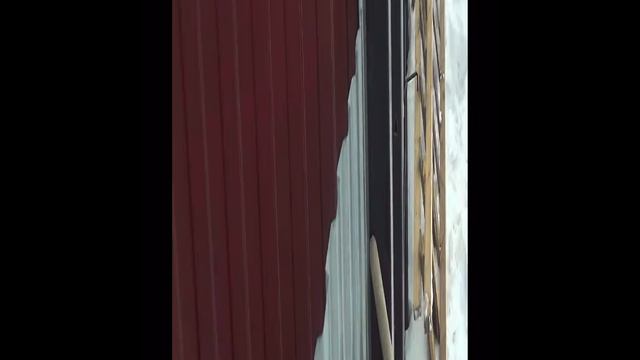 Защитная работа аборигенной овчарки по 2м нарушителям